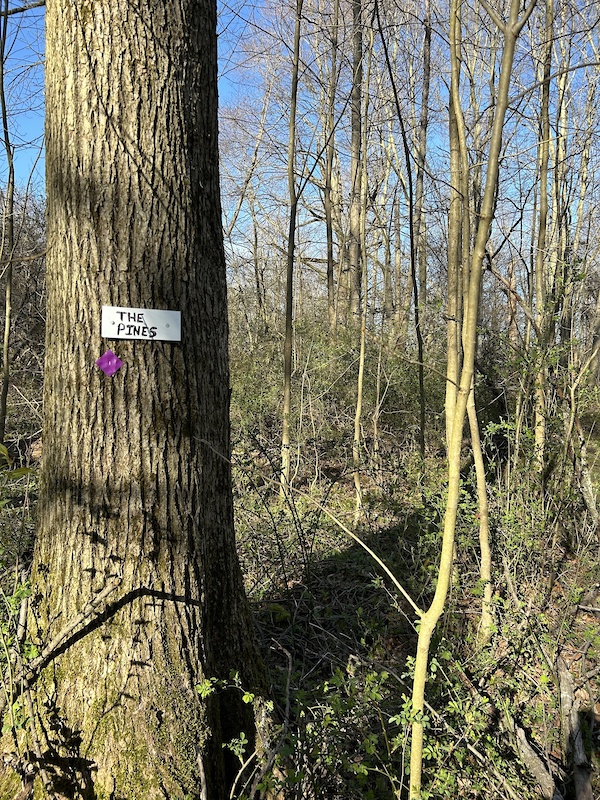Howard Eaton Reservoir, North East Mountain Biking Trails | Trailforks