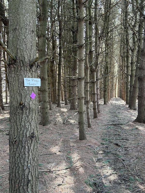 Howard Eaton Reservoir, North East Mountain Biking Trails | Trailforks