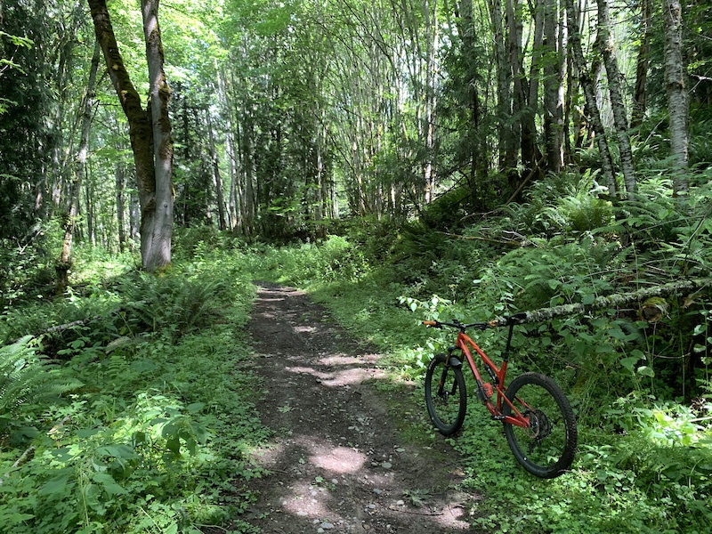 Ridge Race Track Multi Trail - Bonney Lake, Washington
