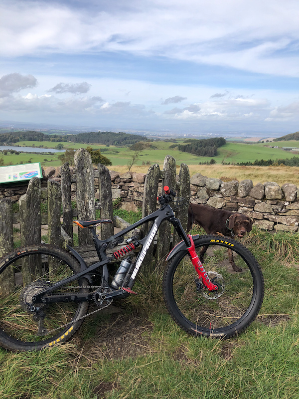 2022 Nukeproof mega 297 custom build For Sale