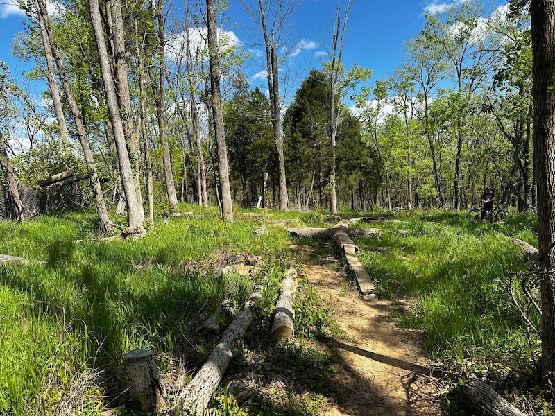 Seneca Park, Louisville Mountain Biking Trails | Trailforks
