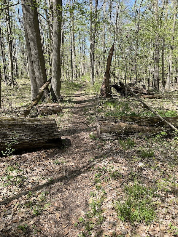 Bypass - Green Loop Hiking Trail - Waverly, Michigan