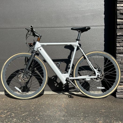 2022 Rize Fixie Ebike For Sale