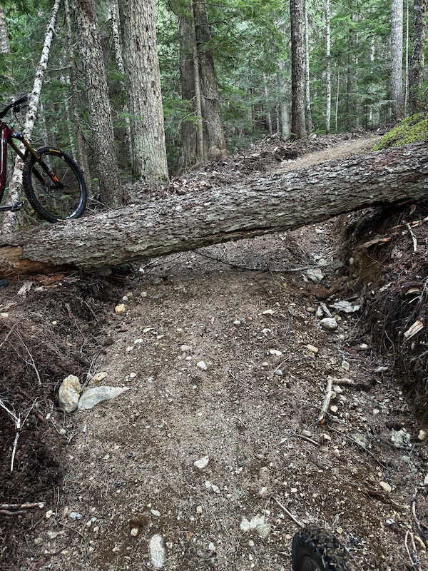 Blackcomb Bench Climb - Upper Multi Trail - Whistler