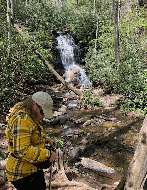 Log Hollow Falls Trail Hiking Trail - Brevard, NC