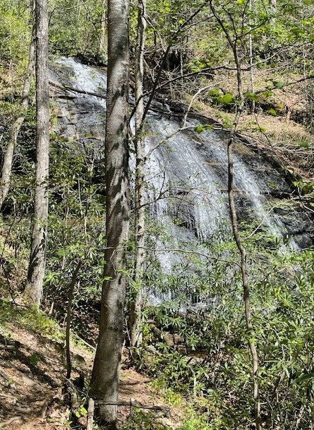 Log Hollow Falls Trail Hiking Trail - Brevard, NC