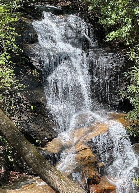 Log Hollow Falls Trail Hiking Trail - Brevard, NC