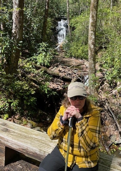 Log Hollow Falls Trail Hiking Trail - Brevard, NC