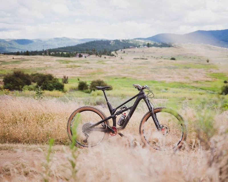 2020 Canyon Spectral - Custom Build For Sale