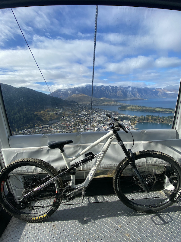 2023 Canyon Torque DH CLLCTV For Sale