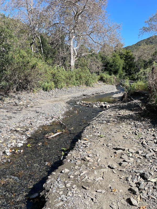 May 07, 2024 Sullivan Canyon Trail Report | Trailforks