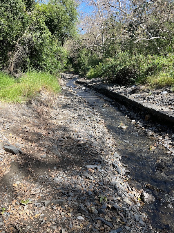 May 07, 2024 Sullivan Canyon Trail Report | Trailforks