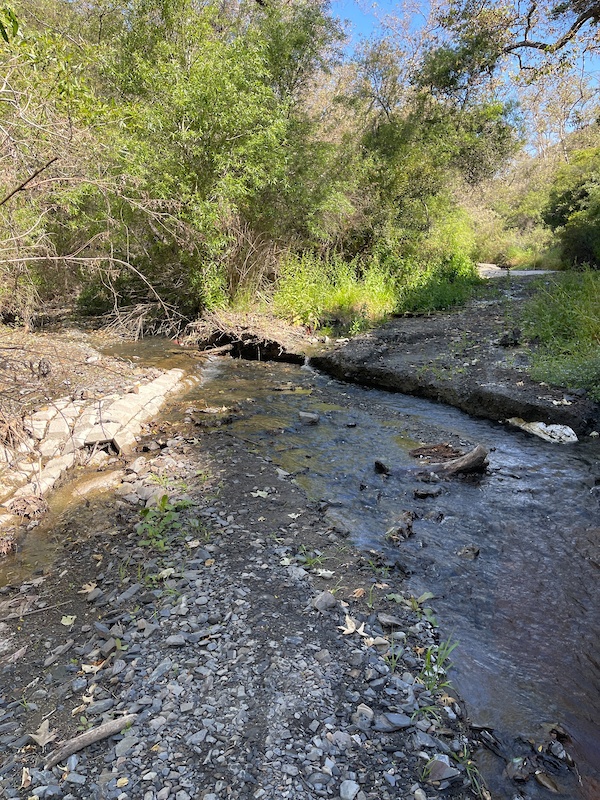 May 07, 2024 Sullivan Canyon Trail Report | Trailforks