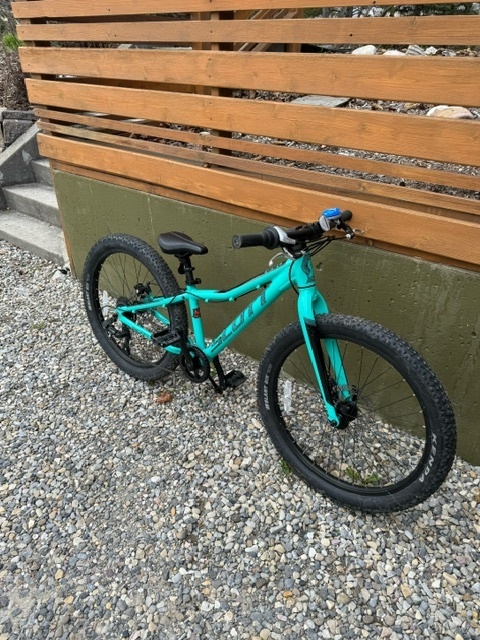 2022 Scott Roxter 24 inch wheel For Sale