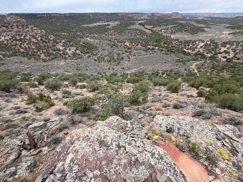 Amp Ridge Mountain Biking Trail - Montrose, Colorado