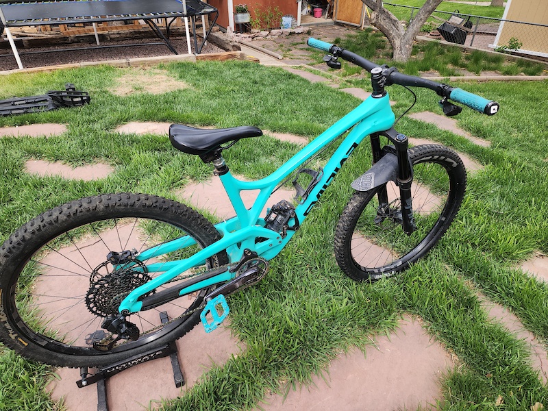 2019 Evil Calling (Angry Dolphin Blue) medium For Sale