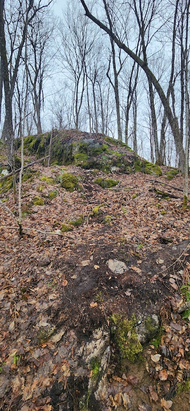 Dinknuts Drop Mountain Biking Trail - Beachburg, Ontario