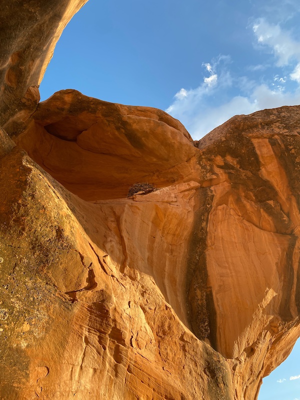 Uranium Arch Multi Trail - Moab, UT | Trailforks