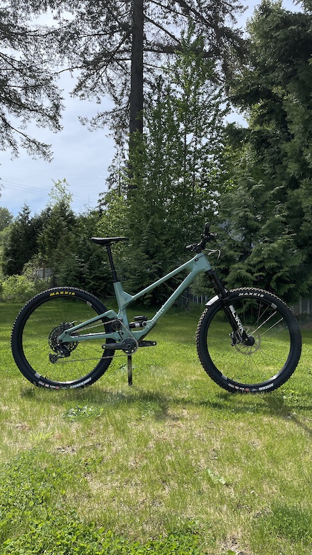 2024 Forbidden Druid V2 For Sale