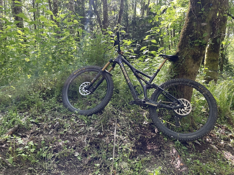 Heavy Nettle Mountain Biking Trail - Bonney Lake, WA