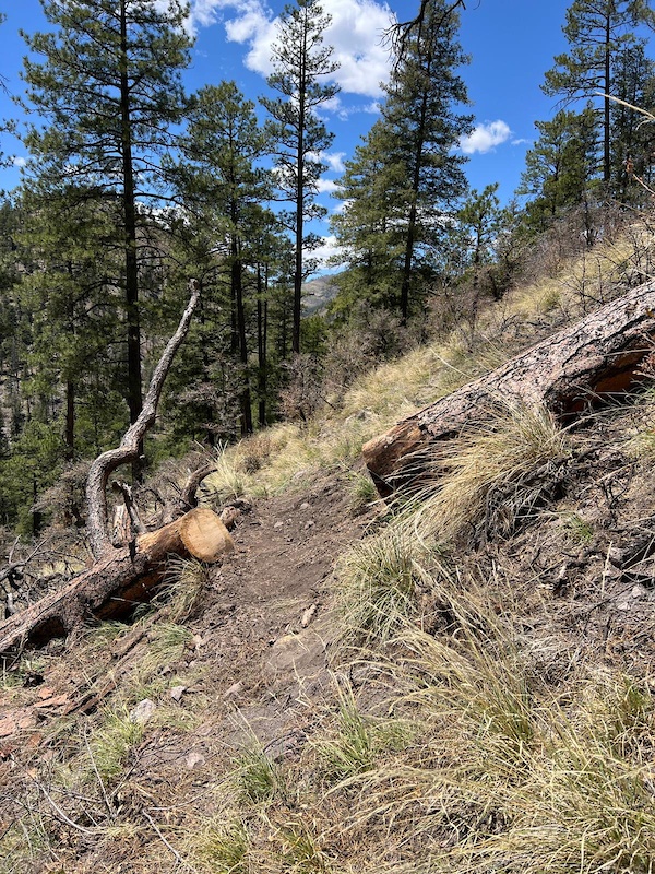 Stove Spring Trail Multi Trail - Silver City, New Mexico