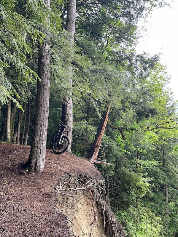 Sprague Brook Loop Multi Trail - Glenwood, New York