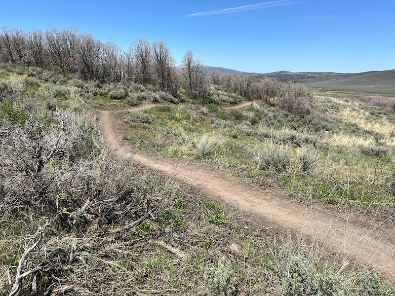Big Easy Green Loop Mountain Biking Route | Trailforks