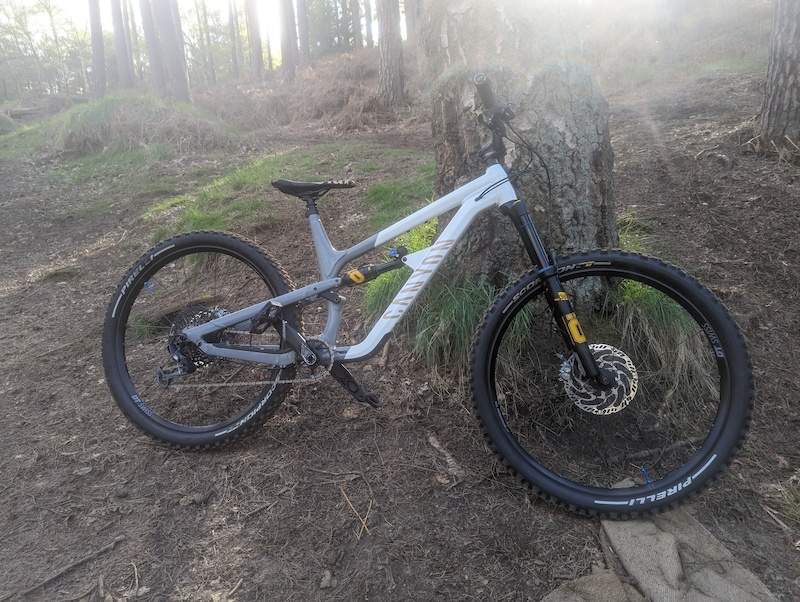 2024 Canyon Spectral Fabio Wibmer Edition - OHLINS MAGURA For Sale
