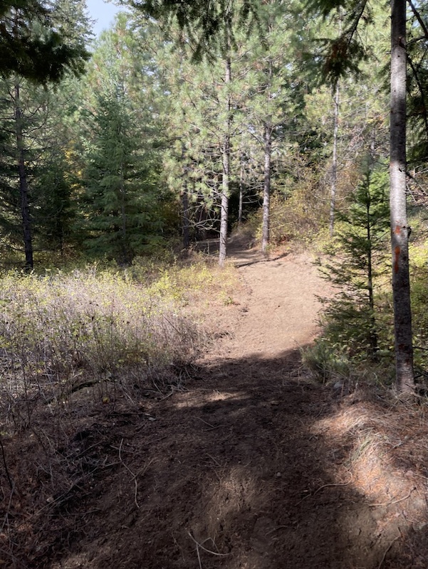 Middle Skyline Mountain Biking Trail - Cle Elum, WA