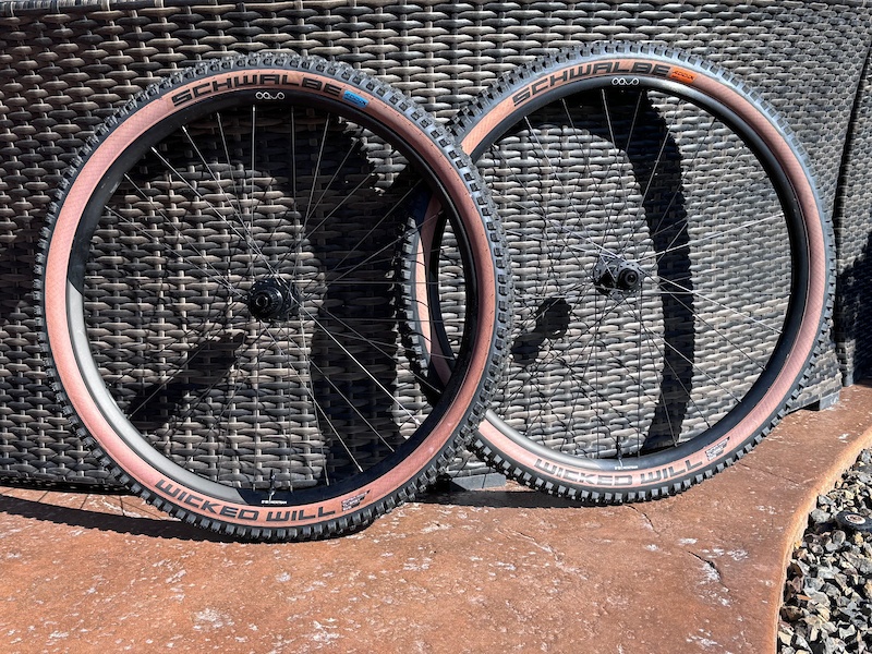 2025 Orbea Oquo Mountain Control MC32 Team + Schwalbe For Sale