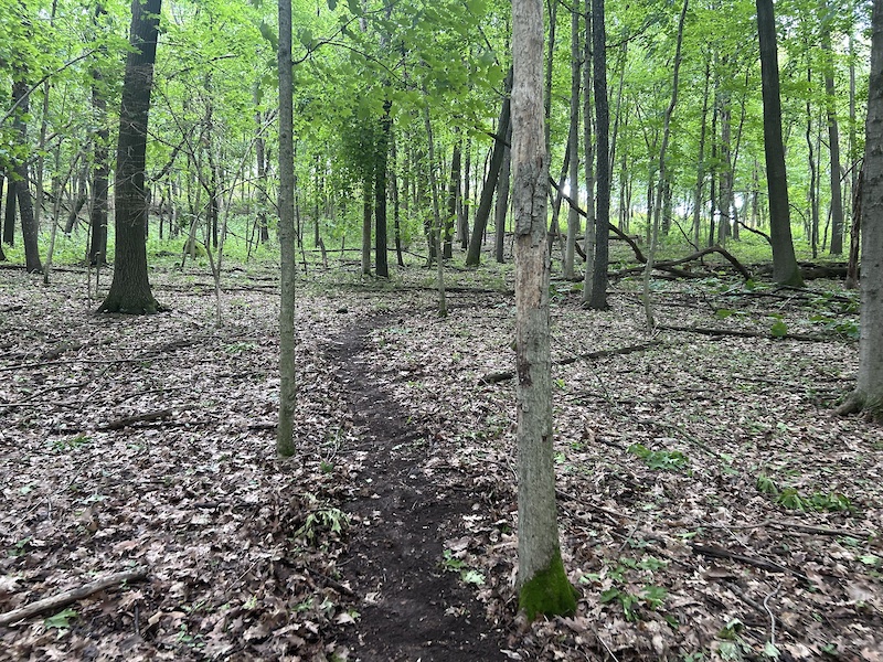 Meadow View Bike Park, Pewaukee Mountain Biking Trails | Trailforks