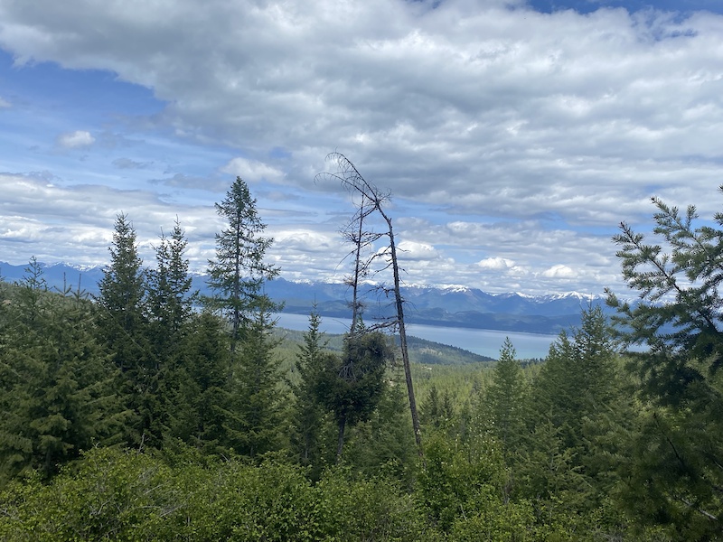 Shuttle Road Mountain Biking Trail - Lakeside, Montana