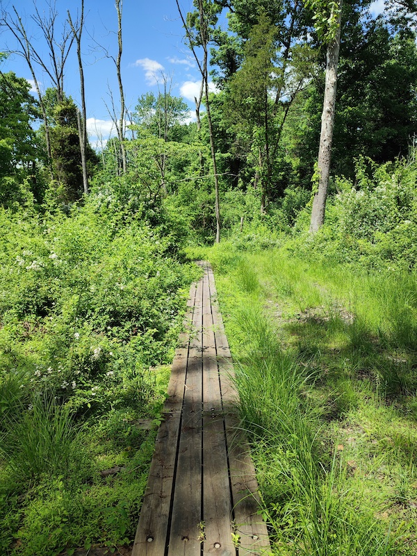 Flagg Kirkland Trail Multi Trail - Frenchtown, New Jersey