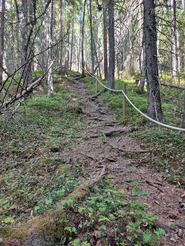 Vännforsleden Kullar Och Klang Multi Trail