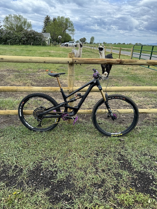 2023 Yt Capra core 4 medium mullet For Sale