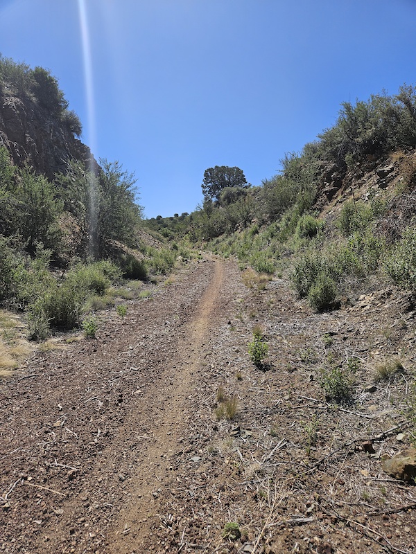 Circus Maximus Multi Trail - Prescott, Arizona