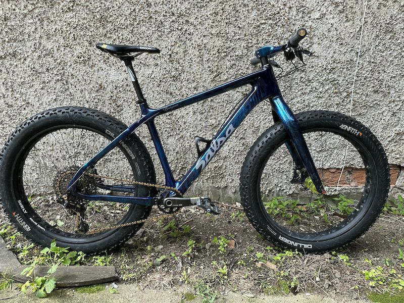 CUSTOM Salsa Beargrease For Sale