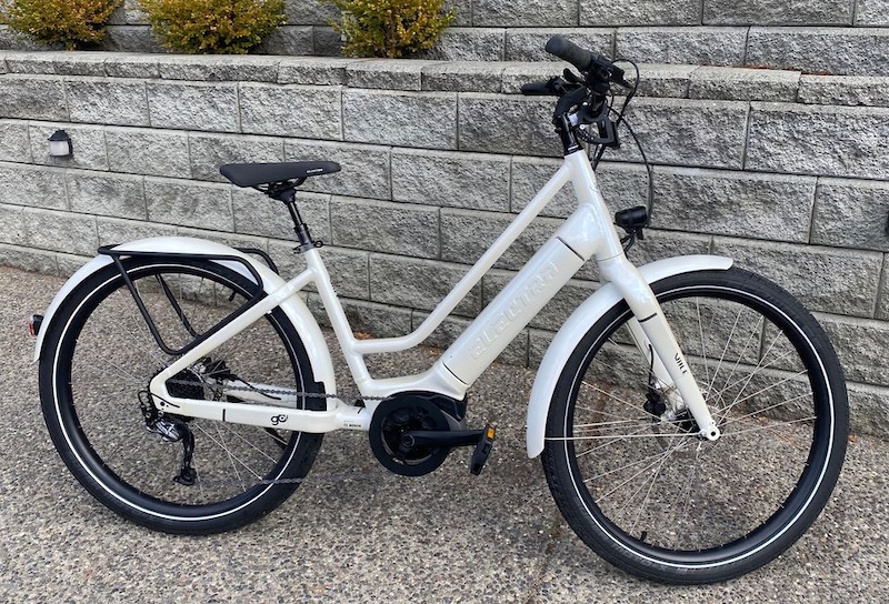 2020 Electra Vale Go! 9D EQ For Sale