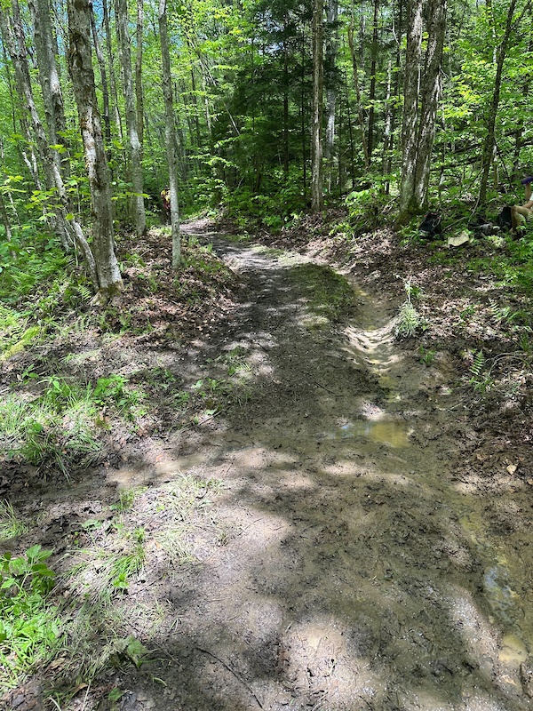 Gauley Mountain Trail Parking Access Multi Trail - Marlinton