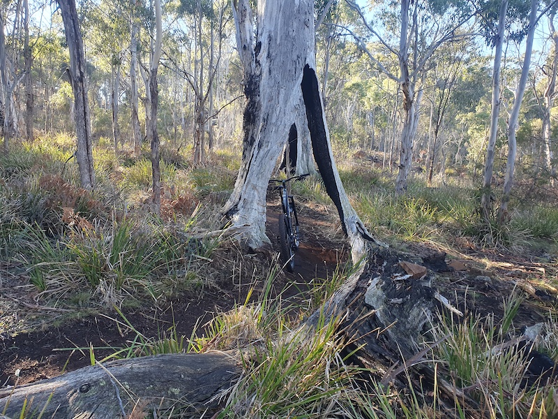 Skyhook - Upper Mountain Biking Trail - George Town