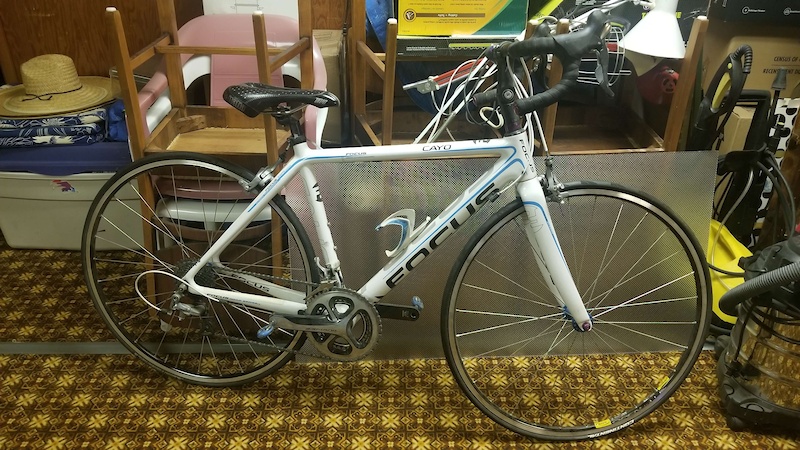 2016 Focus Cayo Ultegra For Sale