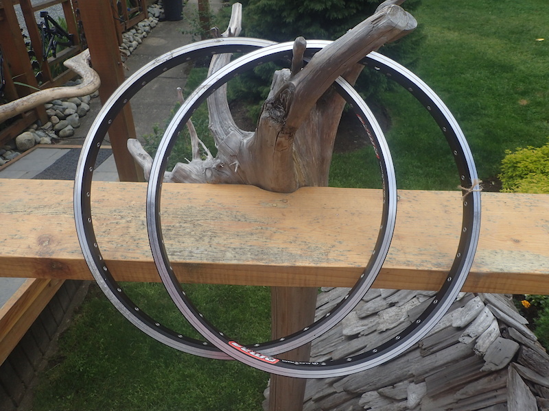 NEW 24" Alex DM24 Pair Of Rims For Sale