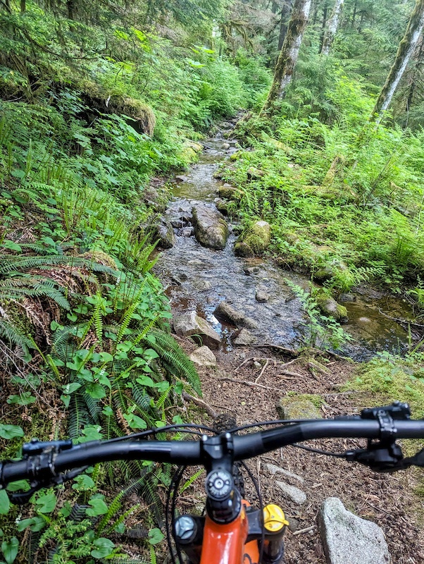 Jun 12, 2024 Middle Fork Trail Report | Trailforks