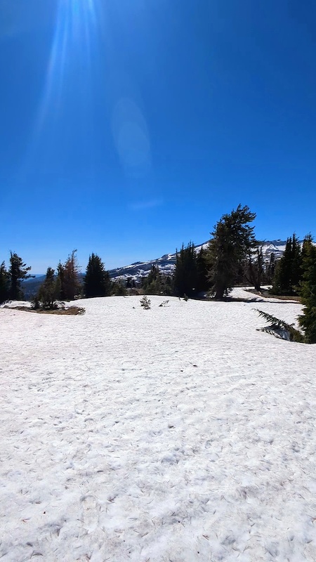 Ralston Peak Hiking Trail - South Lake Tahoe, California