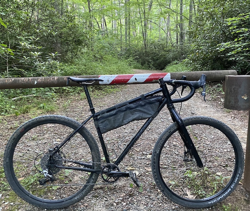2019 Salsa Fargo Large, Custom Build For Sale