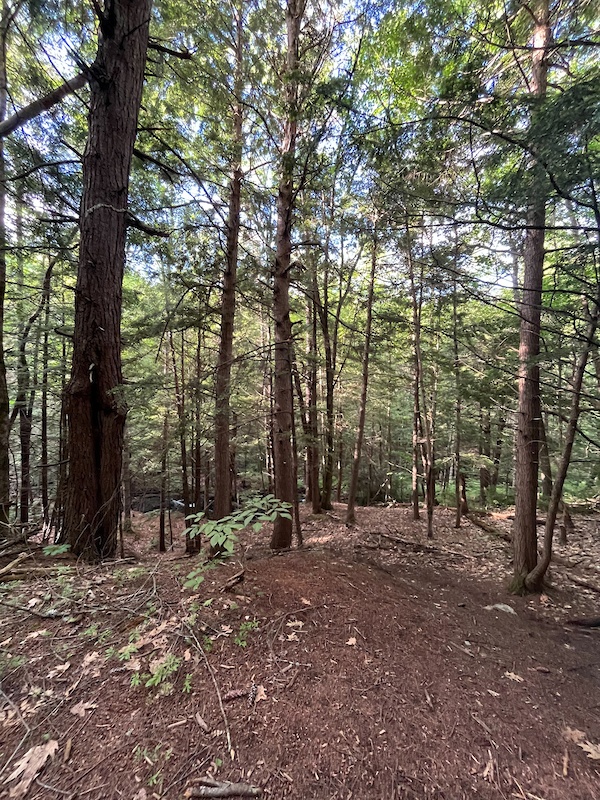 Range Pond State Park Mountain Biking Trails | Trailforks