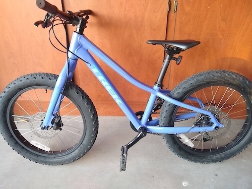 2018 Trek Roscoe 20" Kids Bike For Sale