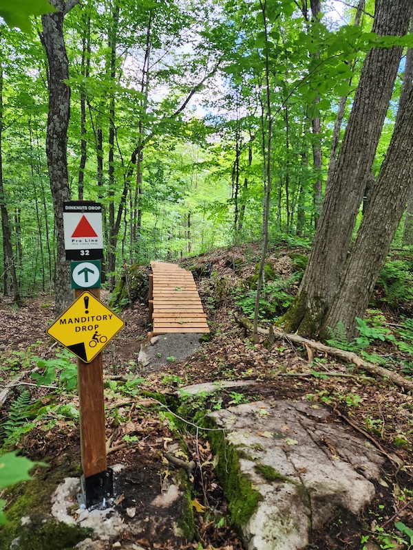 Dinknuts Drop Mountain Biking Trail - Beachburg, Ontario