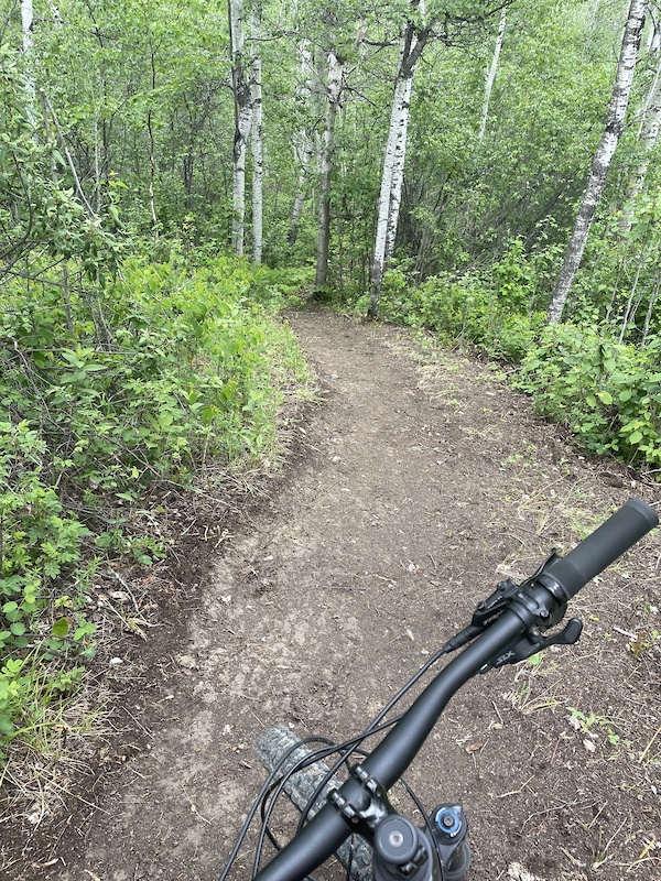Hogsback Loop Mountain Biking Trail - Drayton Valley