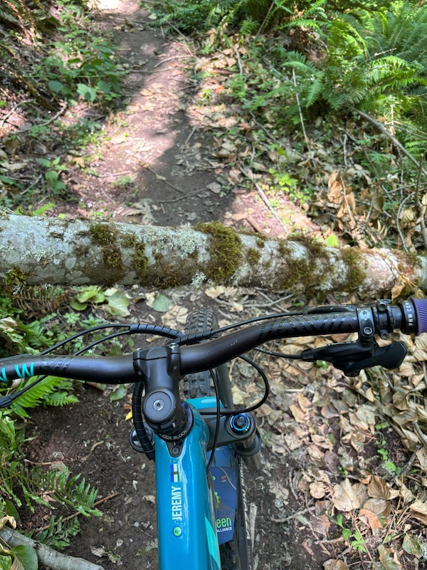 Heavy Nettle Mountain Biking Trail - Bonney Lake, WA